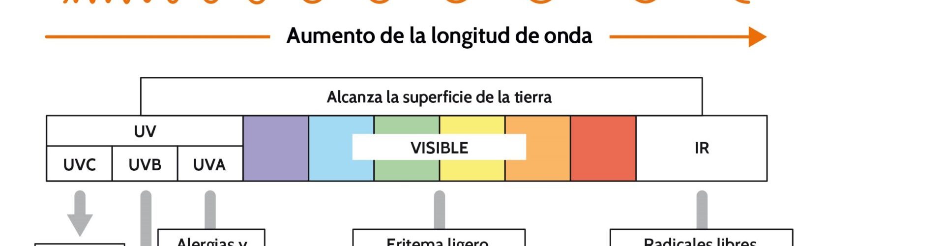 El Diagrama del Sol: Descubre el Poder de los Rayos Solares en tu ...
