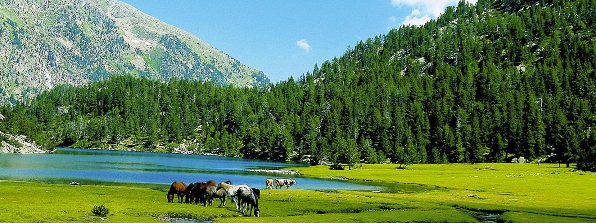 Descubre la fascinante fauna del Chaparral: una muestra de la belleza ...