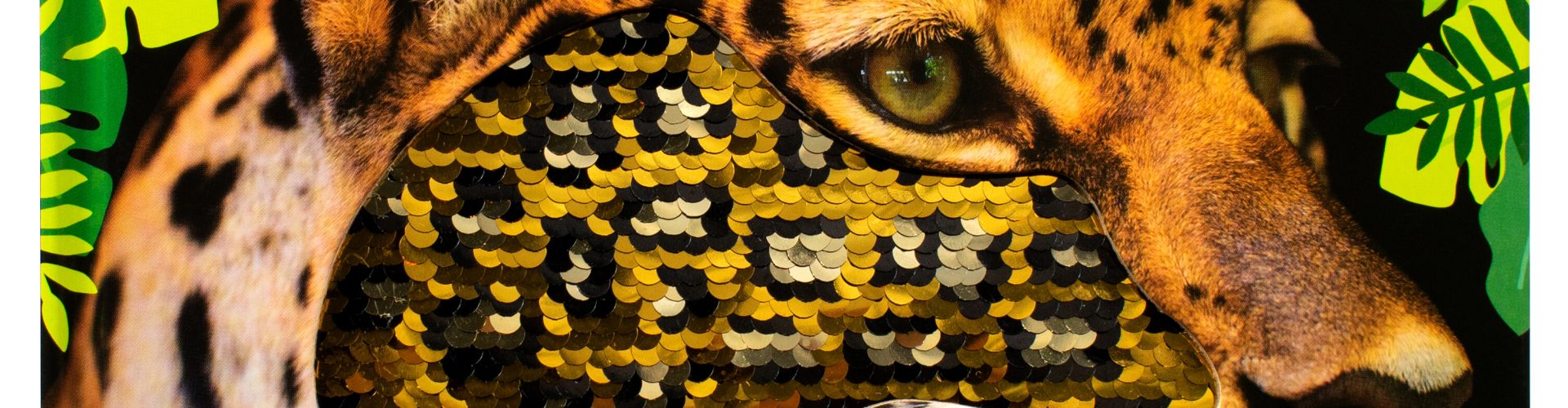 Descubre la fascinante vida de los animales de la selva seca: una ...