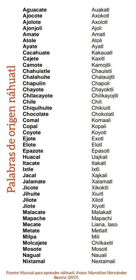 Descubre la riqueza cultural: 10 palabras en maya y su profundo ...
