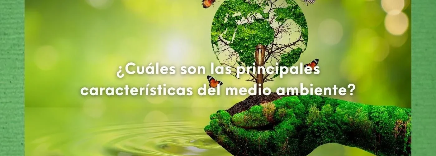 Descubre las fascinantes características de la flora y su impacto en el ...