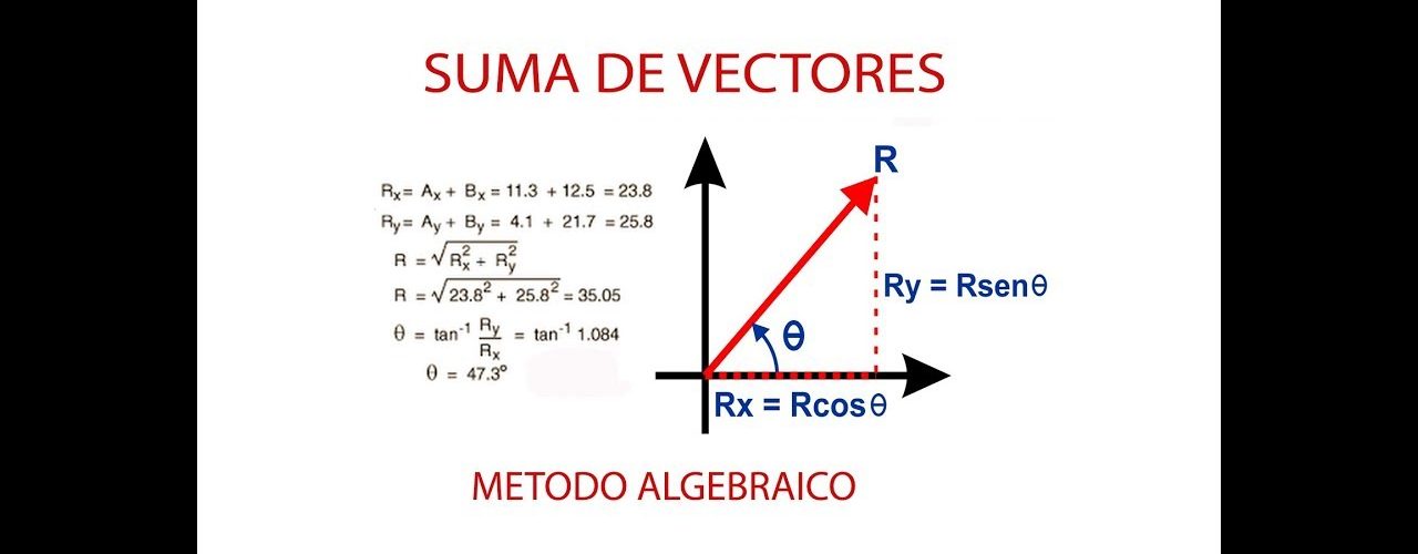 Descubre los elementos clave de un vector: la base fundamental para ...