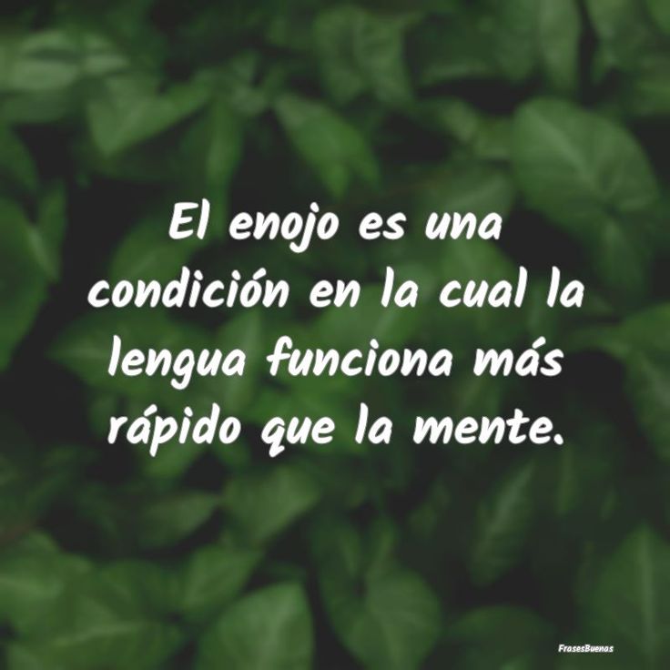 Frases de enojo hacia alguien: expresa tu indignación con palabras ...