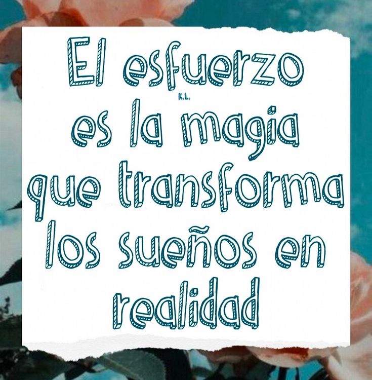 Frases de magia: Encantadoras palabras que transforman la realidad ...