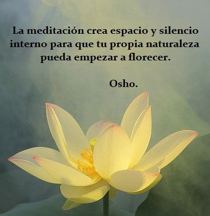 Frases Zen: Inspiración para encontrar la paz interior y vivir en ...