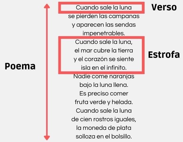 Un poema de cinco estrofas: La expresión lírica en su máxima forma ...