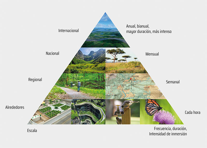 Explorando ejemplos de interacciones ecológicas en la naturaleza ...